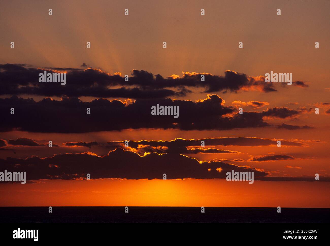 Fair weather cumulus clouds hi-res stock photography and images - Alamy