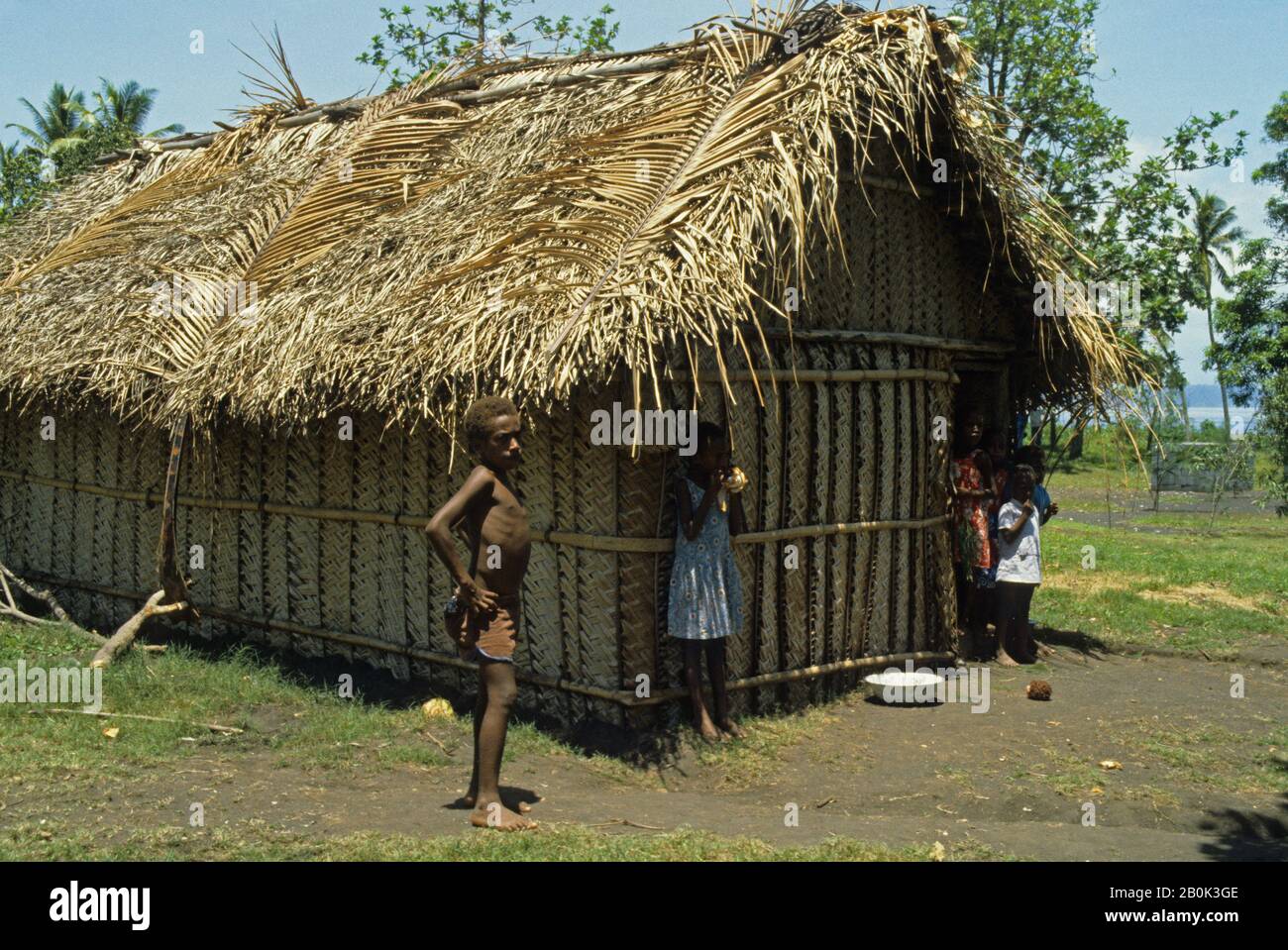 VANUATU,(NEW HEBRIDES), AMBRYM ISLAND, NATIVE CHILDREN IN FRONT OF HUT ...