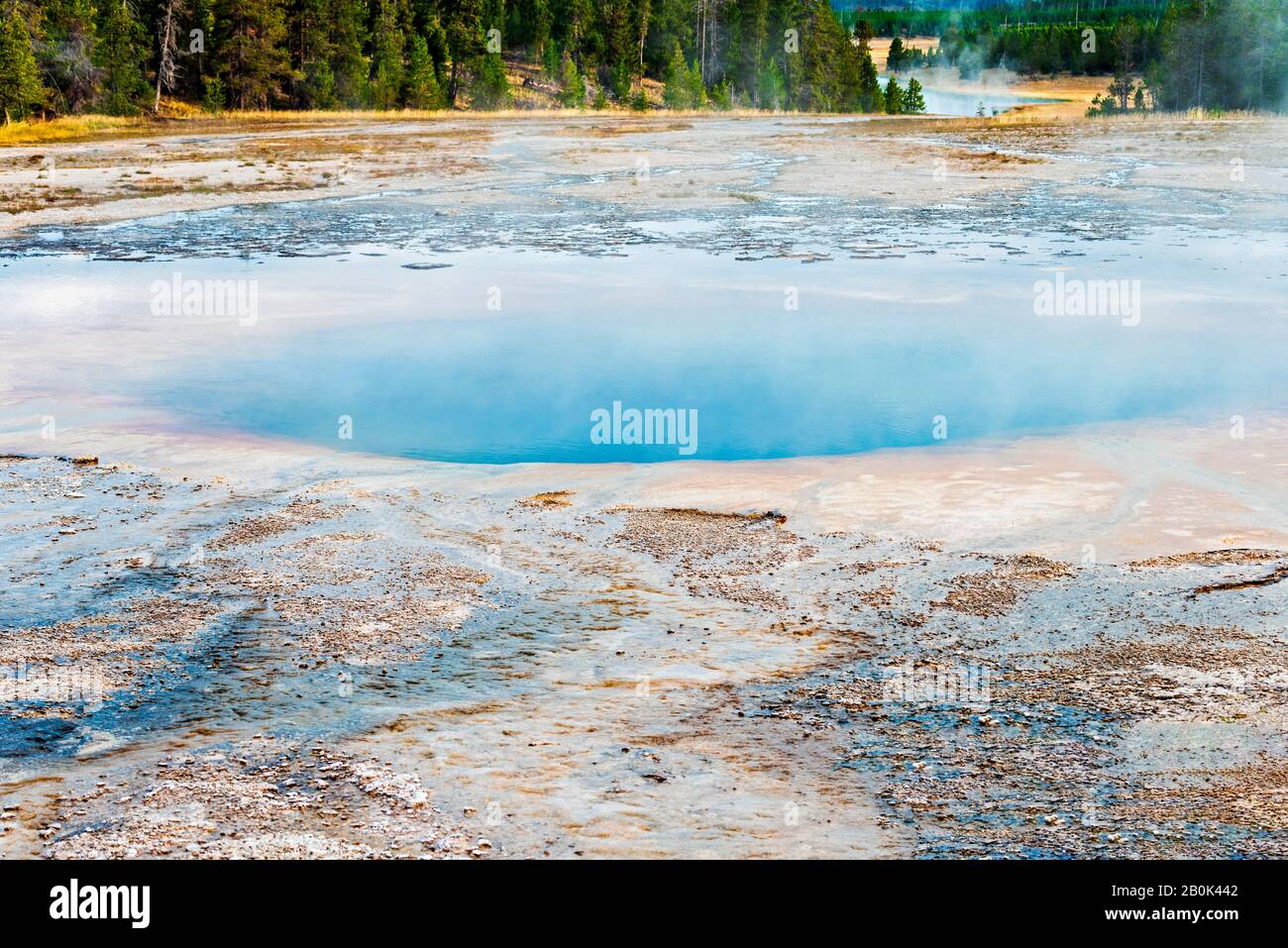 Bright blue hot springs, steam rising up off the water and green forest ...