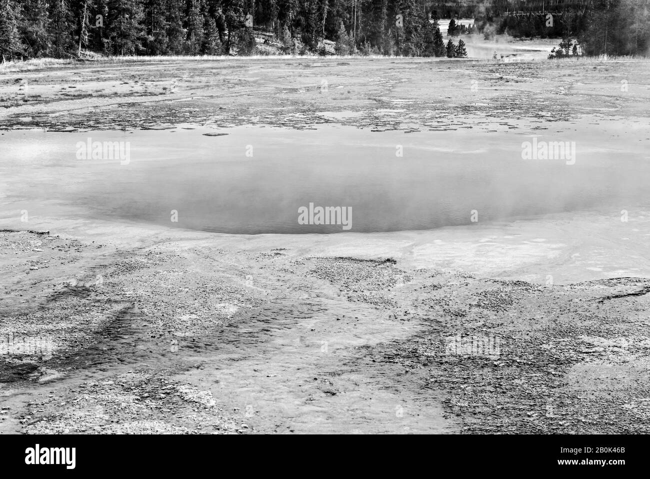 Steaming hot hot spring with forest beyond Stock Photo - Alamy