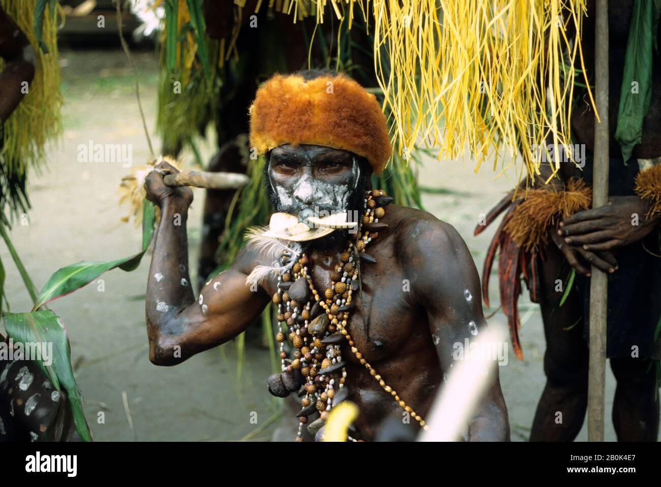 Oceania traditional native dress hi-res stock photography and images ...
