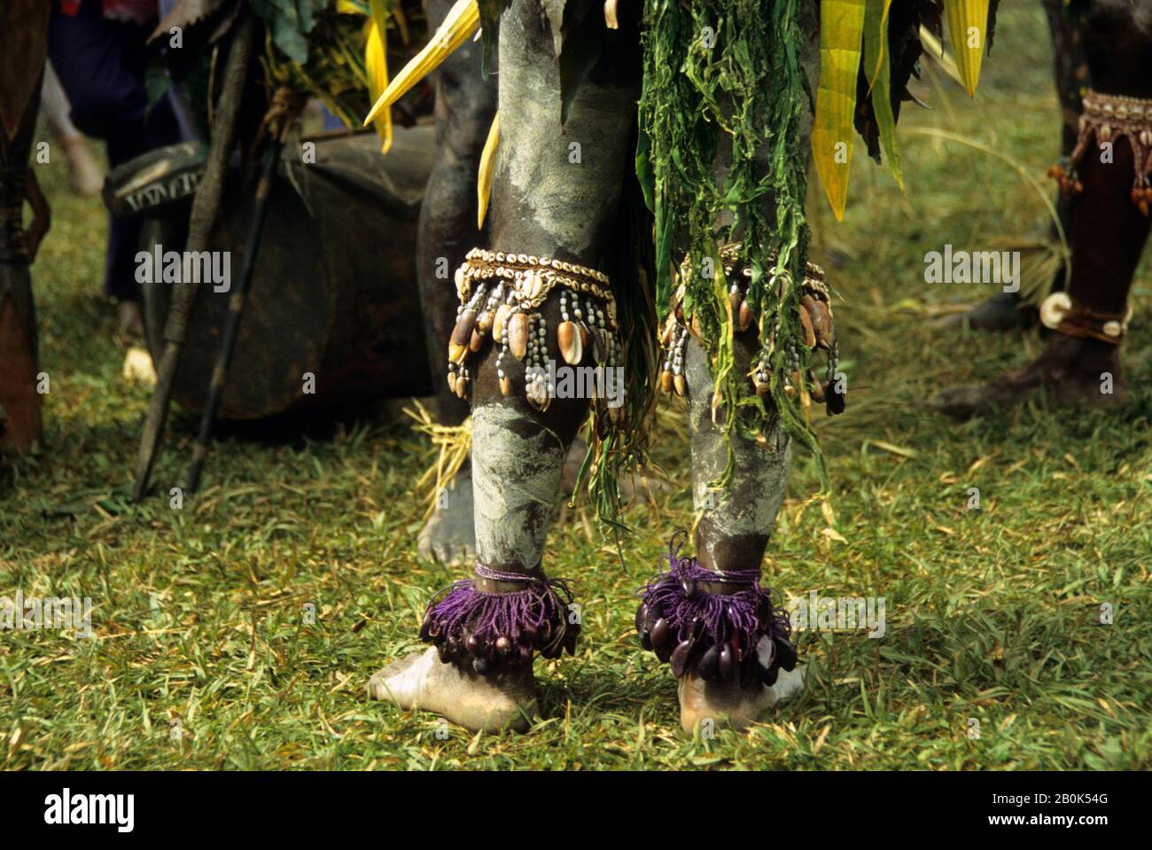 PAPUA NEW GUINEA, SEPIK RIVER, MEN IN TRADITIONAL DRESS LEGS Stock ...
