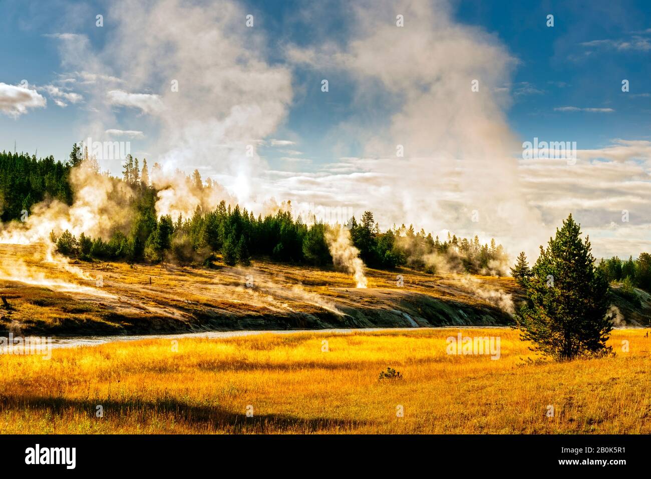 Steam venting from geysers, green forest trees and golden meadows under ...