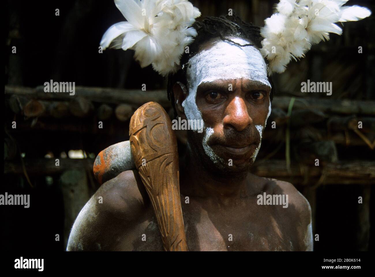 Primitive man hi-res stock photography and images - Alamy