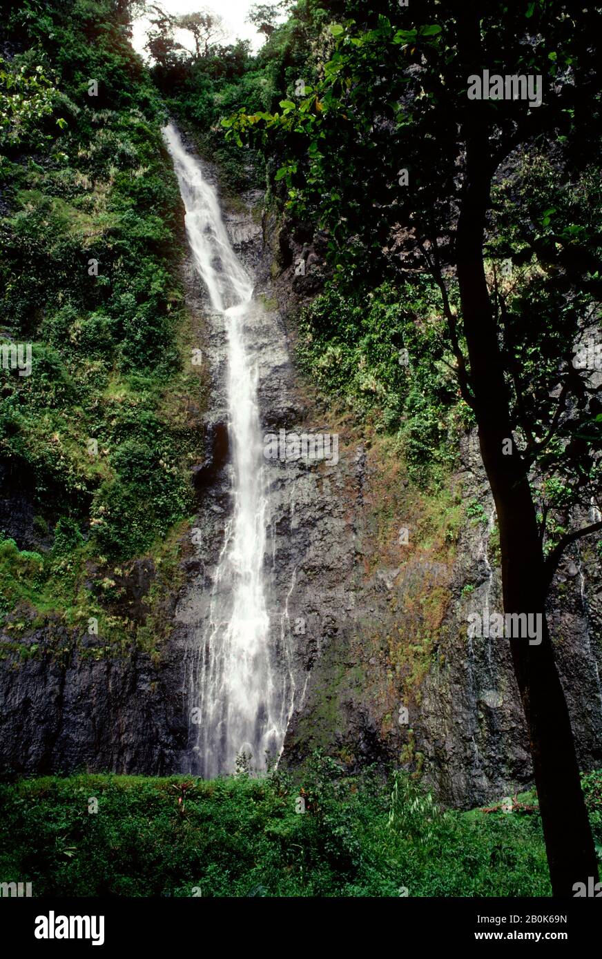 TAHITI, FRENCH POLYNESIA, WATERFALL IN RAINFOREST Stock Photo - Alamy