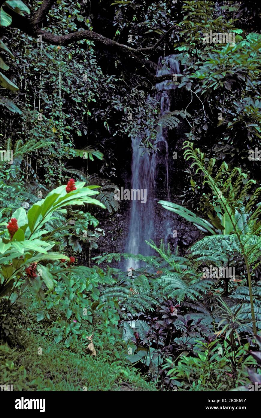 TAHITI, WATERFALL SURROUNDED BY TROPICAL FLOWERS IN THE RAINFOREST ...