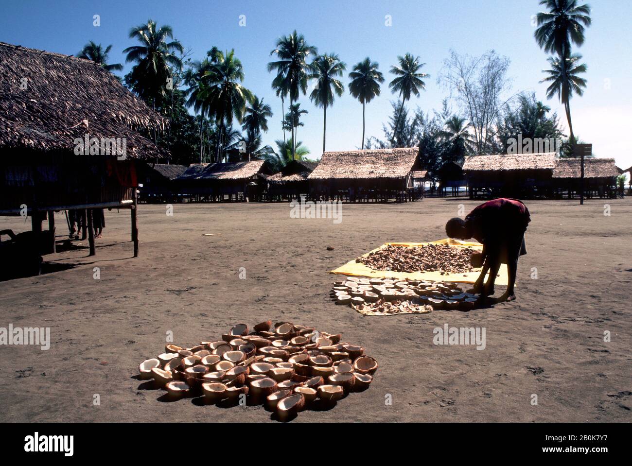 PAPUA NEW GUINEA, MOROBE, EWARE VILLAGE, COPRA PRODUCTION, COCONUTS ...