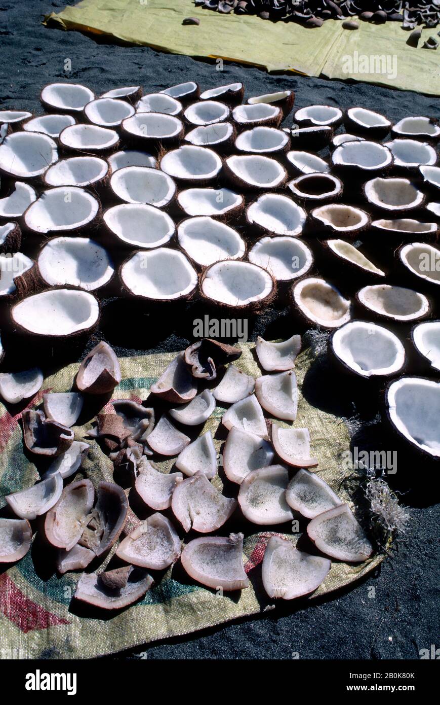Drying copra hi-res stock photography and images - Alamy