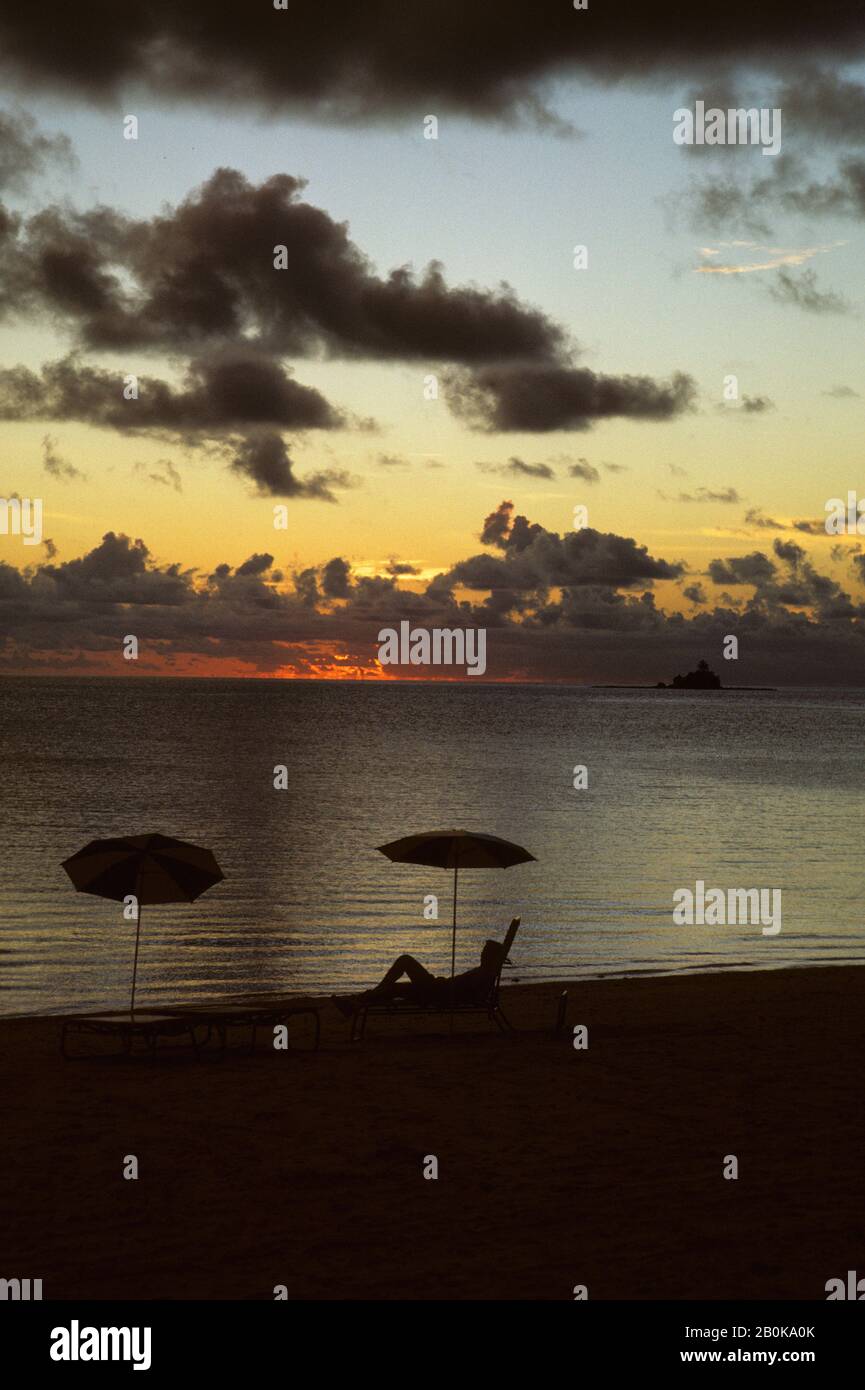 MICRONESIA, CAROLINE ISLS. PALAU; KOROR ISLAND, BEACH UMBRELLAS IN THE ...