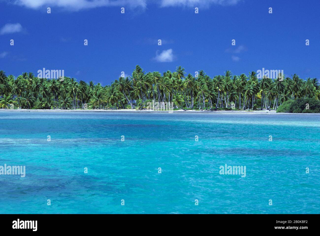 FRENCH POLYNESIA,TUAMOTUS, NAPUKA ISLAND, ATOLL, LAGOON WITH COCONUT ...