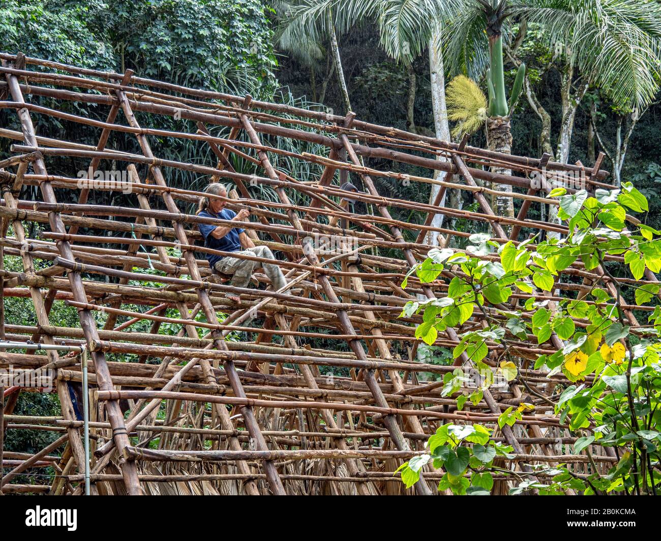 Building a traditional Hawaiian structure from bamboo at Waimea ...