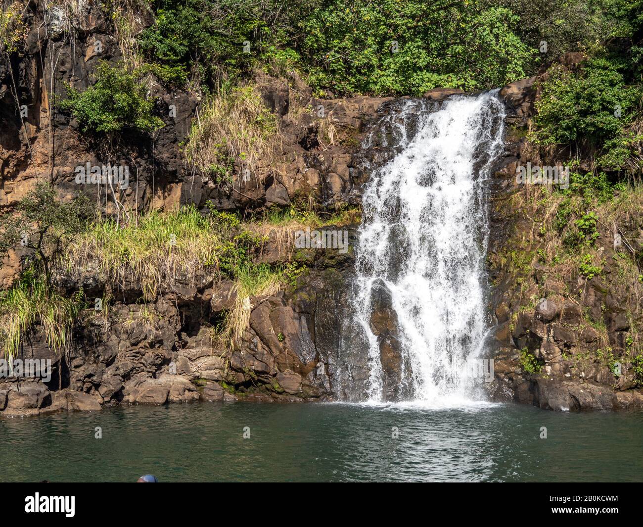 Hawaii waimea falls hike hi-res stock photography and images - Alamy