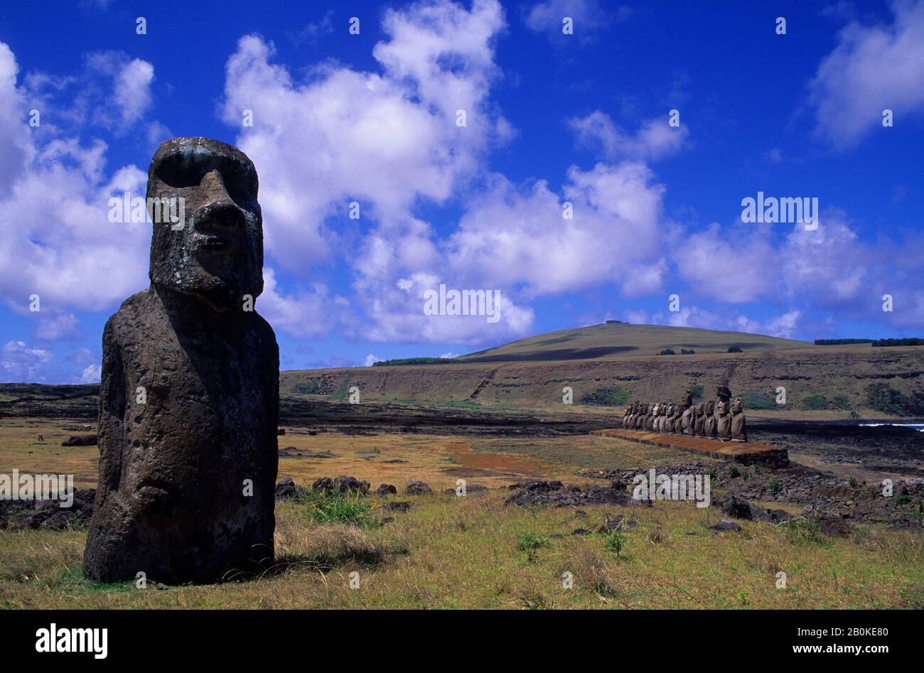 EASTER ISLAND, AHU TONGARIKI, MOAI STATUES, SINGLE STATUE IN FOREGROUND ...