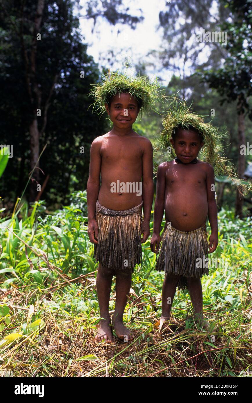 New guinea highlands hi-res stock photography and images - Alamy