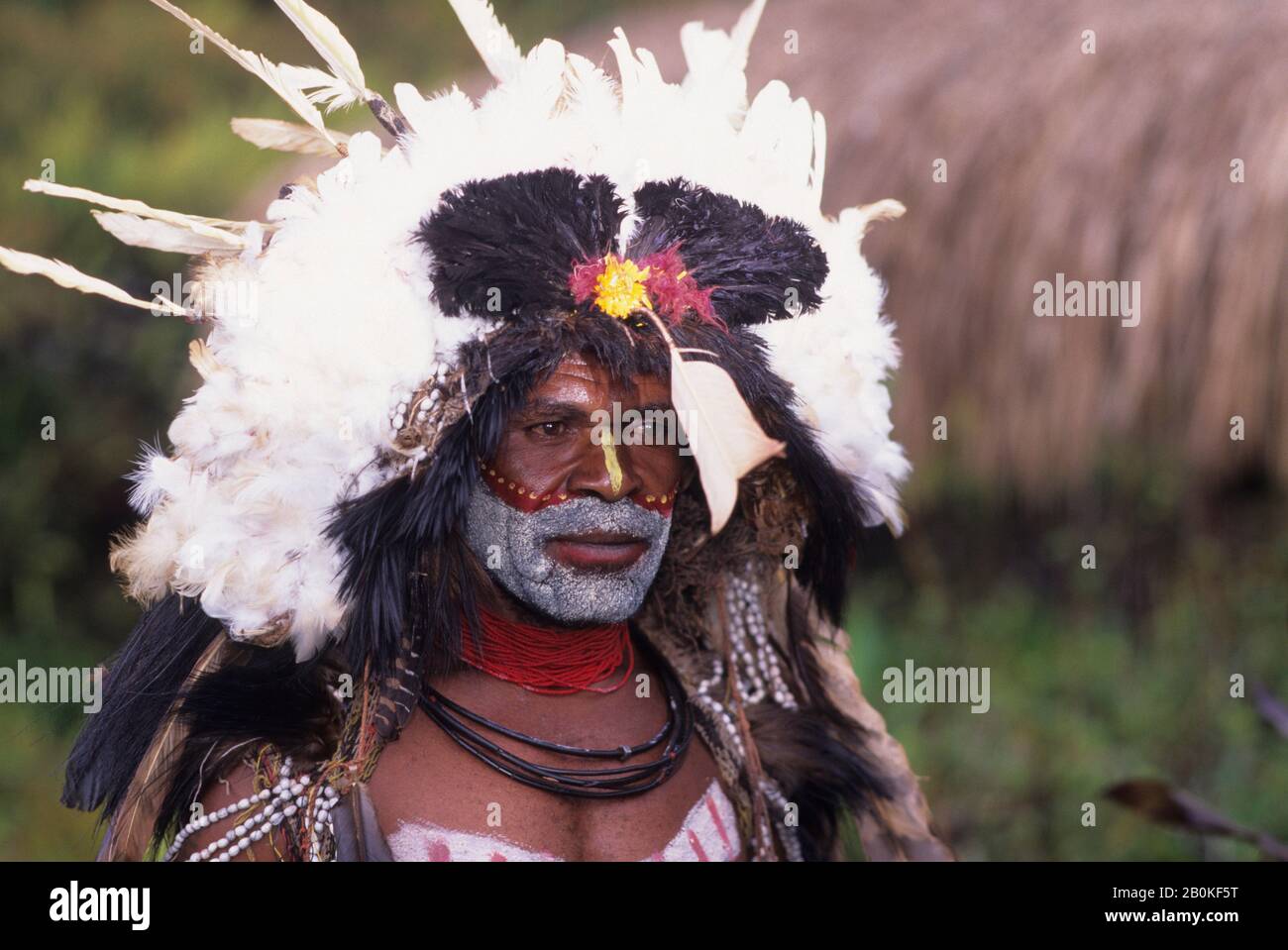 Huli tribe hi-res stock photography and images - Alamy