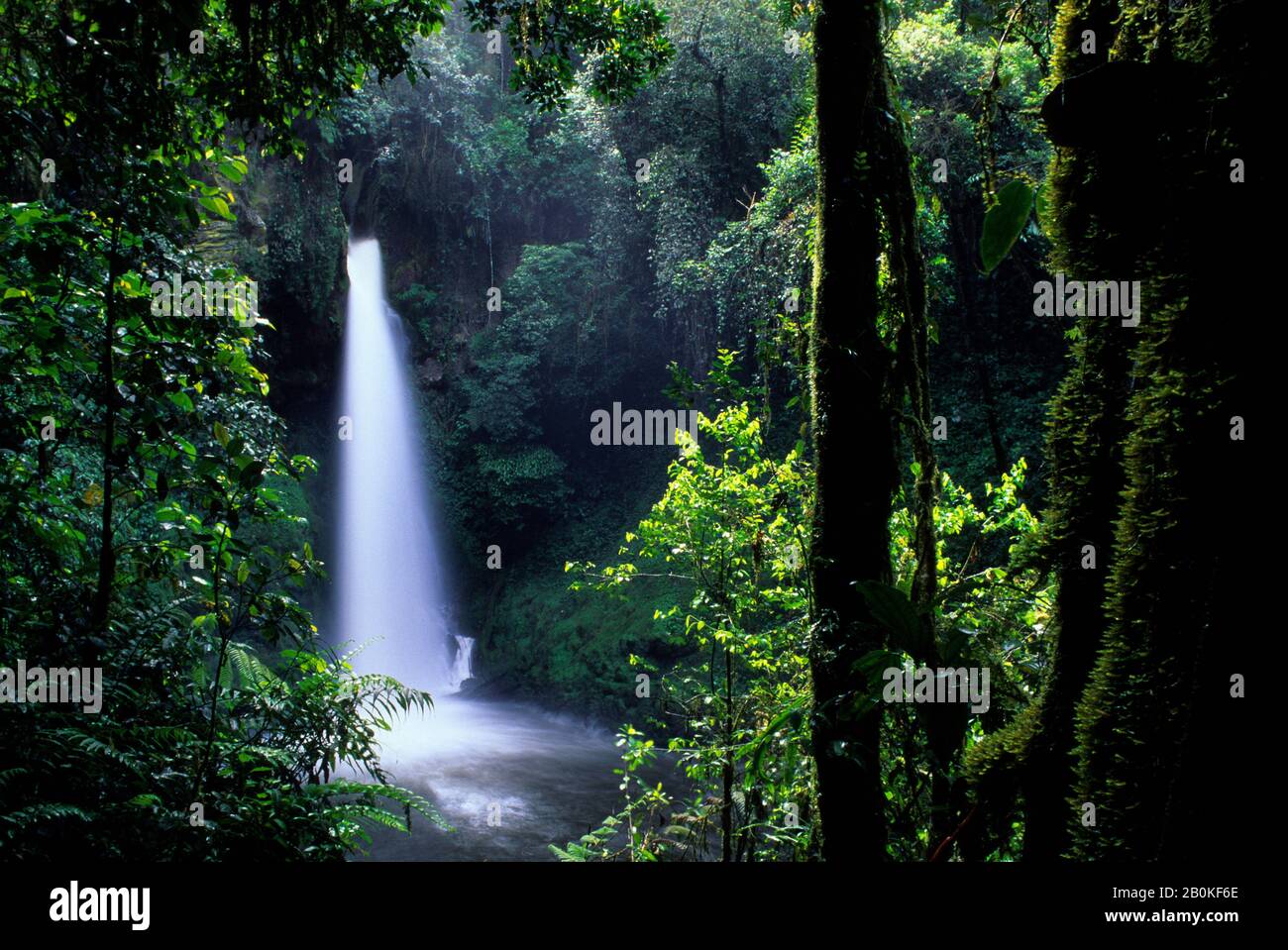 NEW GUINEA HIGHLANDS, NEAR TARI, RAIN FOREST, WATERFALL Stock Photo - Alamy