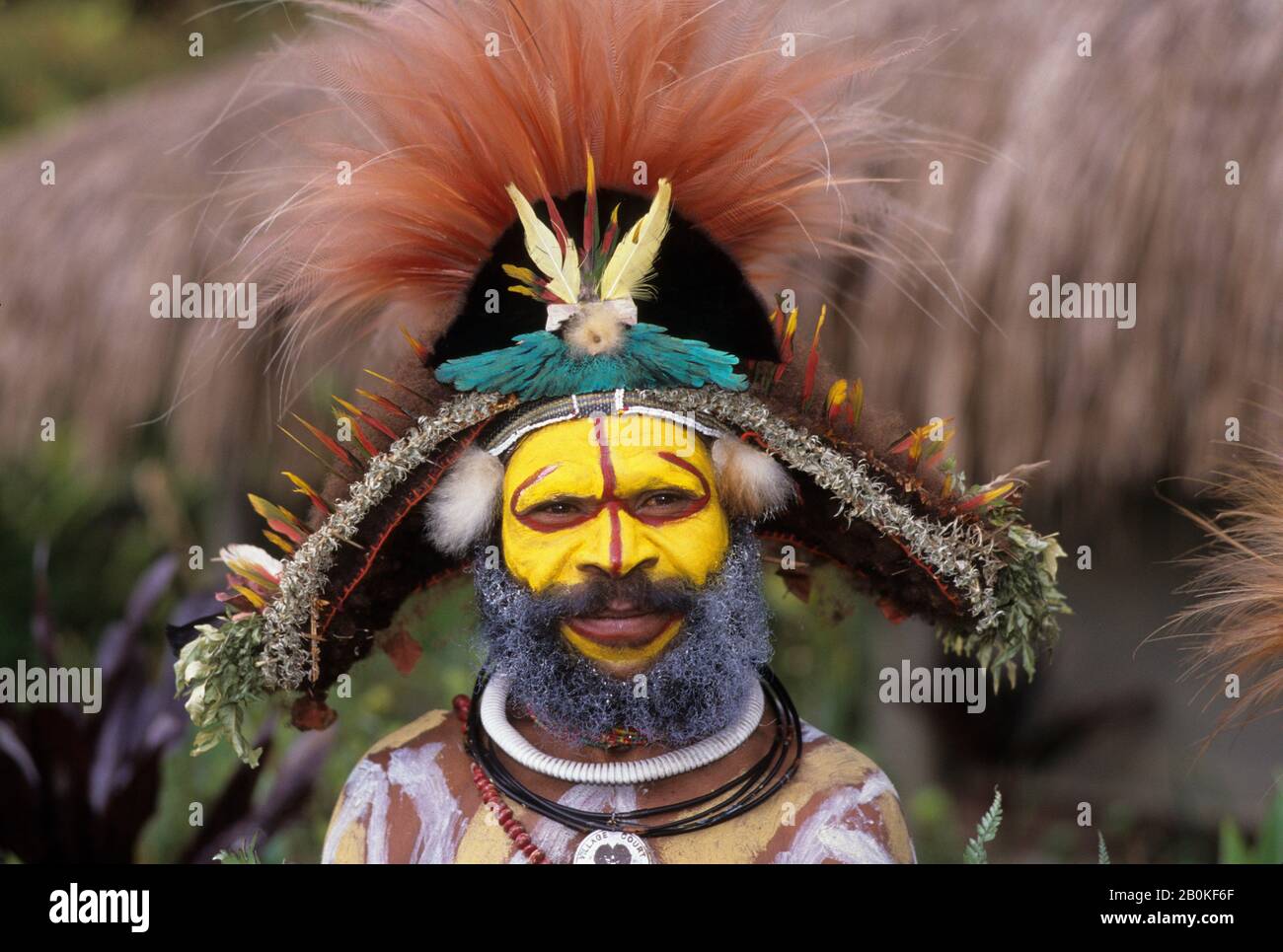 Huli tribe hi-res stock photography and images - Alamy