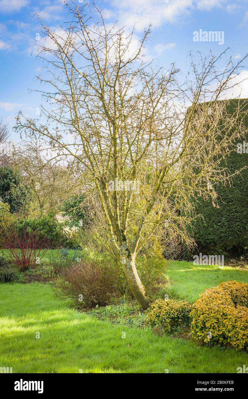 Prevailing hi-res stock photography and images - Alamy