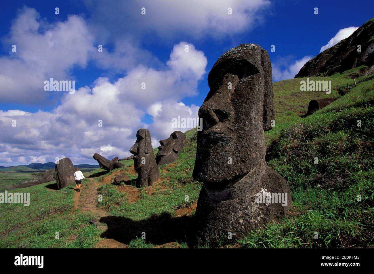 EASTER ISLAND, RANO RARAKU, QUARRY, MOAI STATUES, TOURIST Stock Photo ...