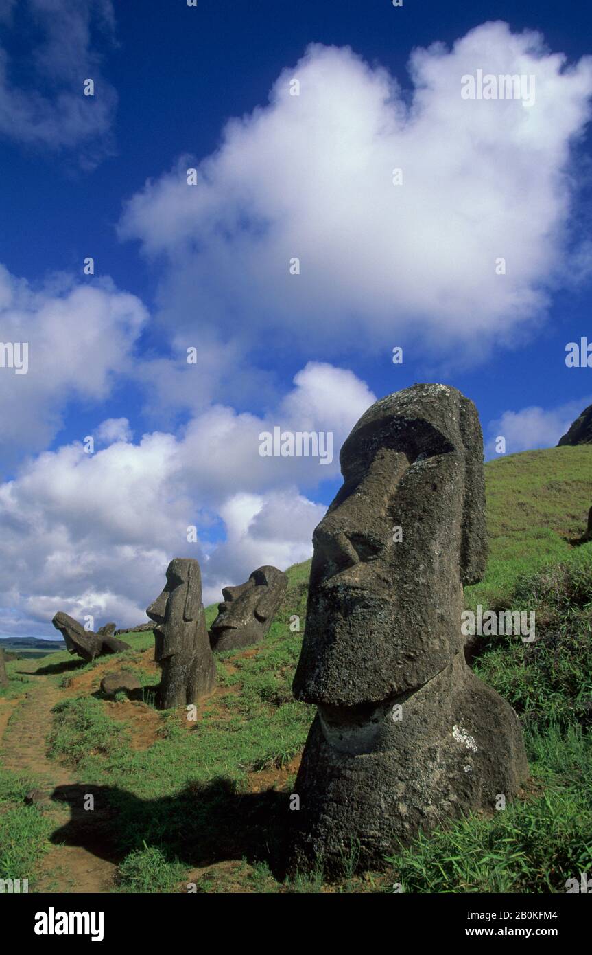 Moai head on easter island hi-res stock photography and images - Alamy