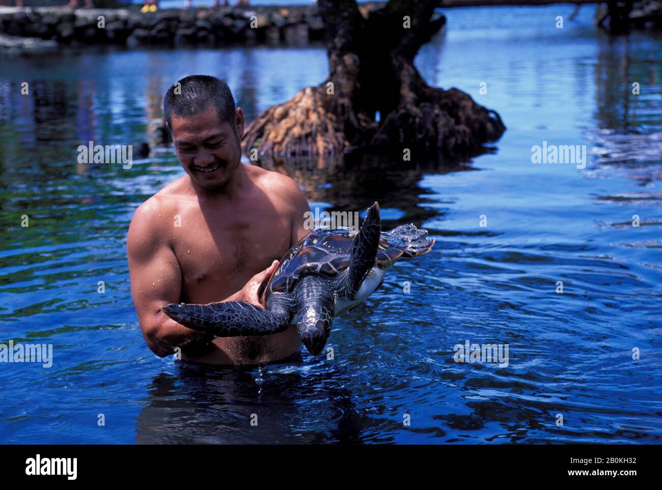WESTERN SAMOA, SAVAI'I ISLAND, MAN WITH GREEN TURTLE Stock Photo - Alamy