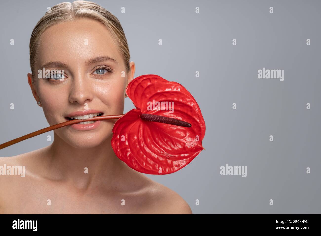 Positive delighted female person keeping flower in teeth Stock Photo ...