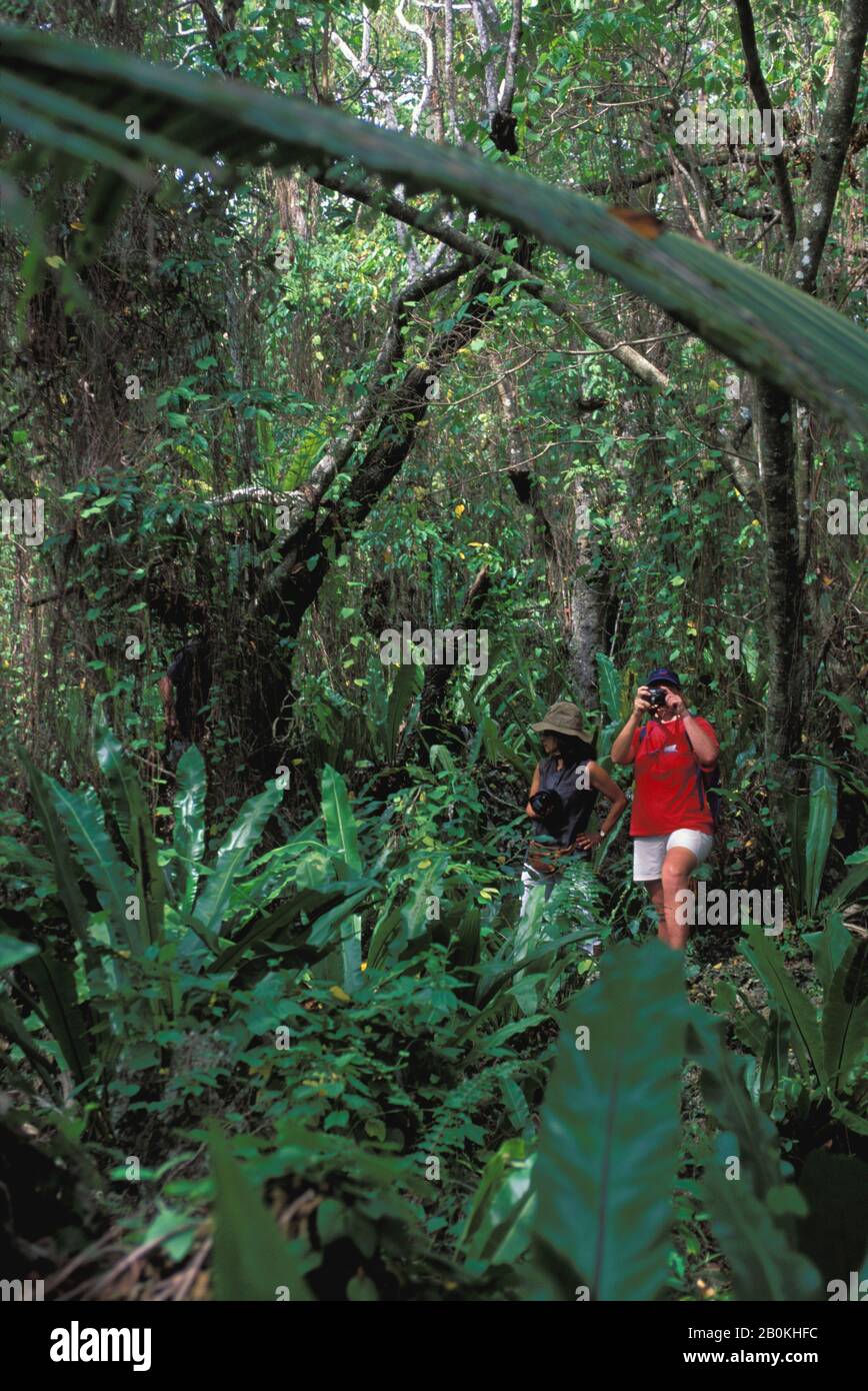 Atiu island hi-res stock photography and images - Alamy