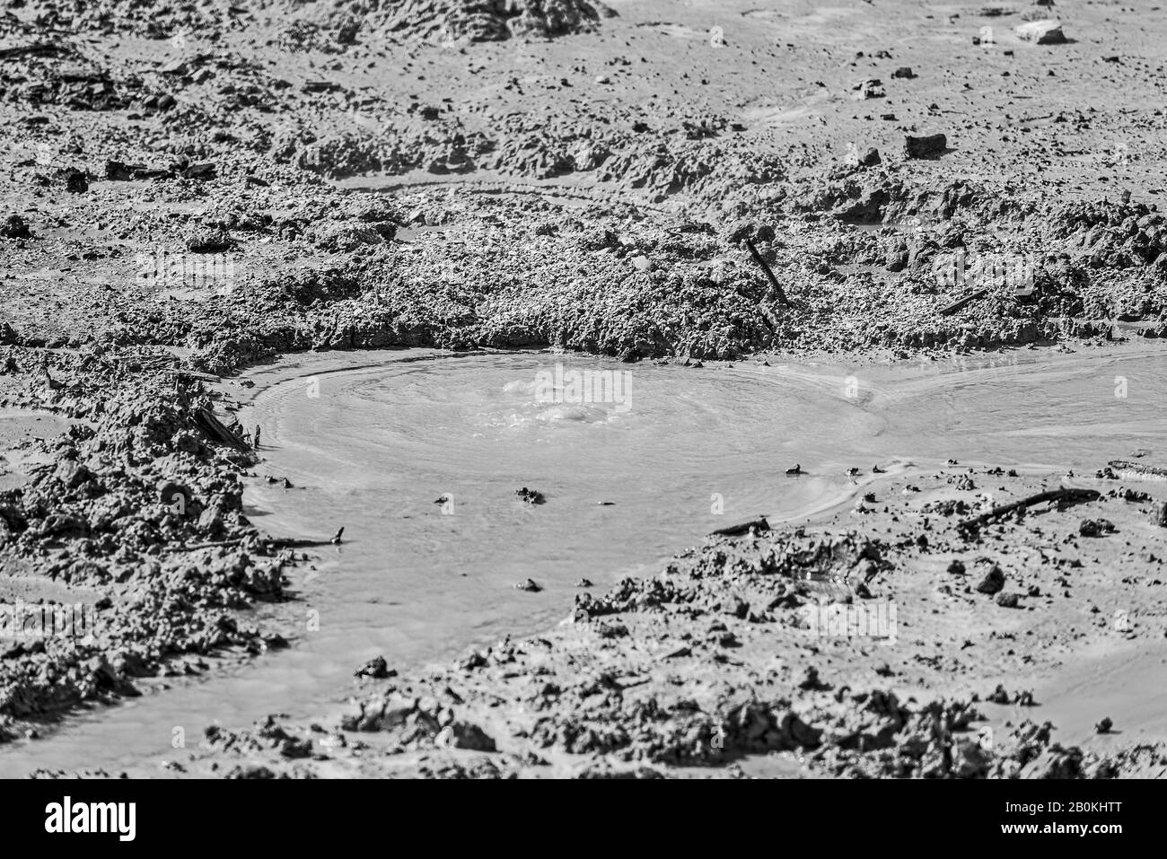 Muddy pool hi-res stock photography and images - Alamy