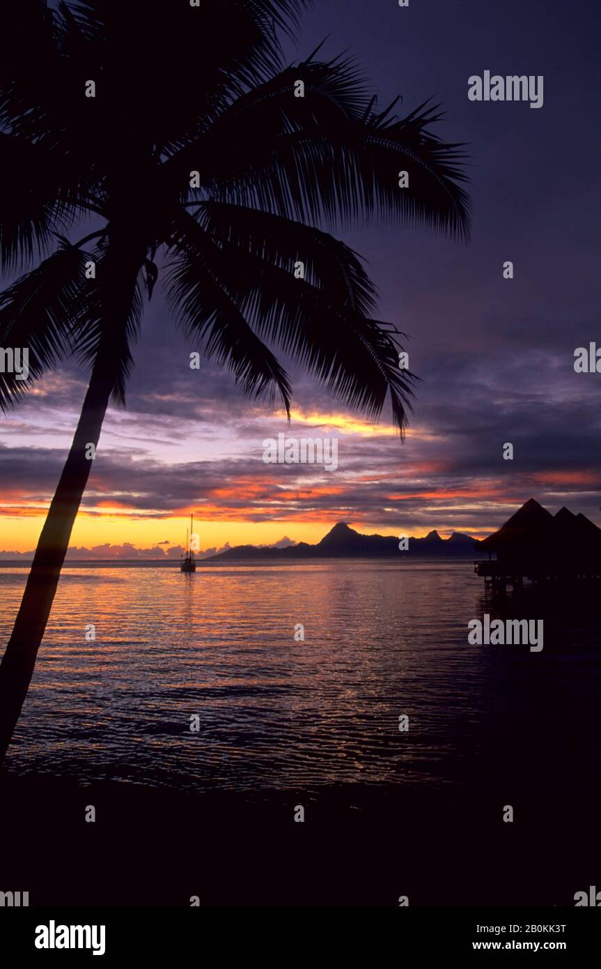 FRENCH POLYNESIA, SOCIETY ISLANDS, TAHITI, BEACHCOMBER HOTEL, SAILBOAT ...