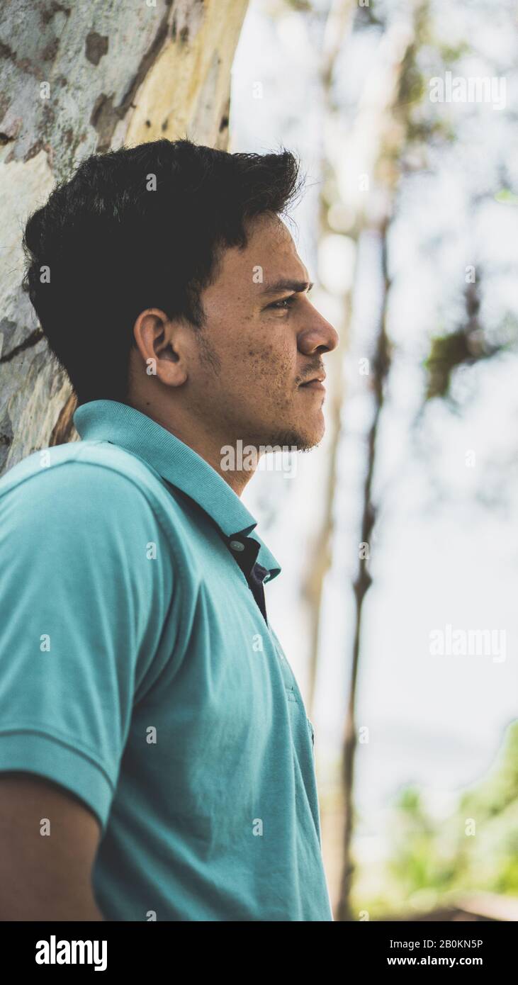 Tree thinking hi-res stock photography and images - Alamy