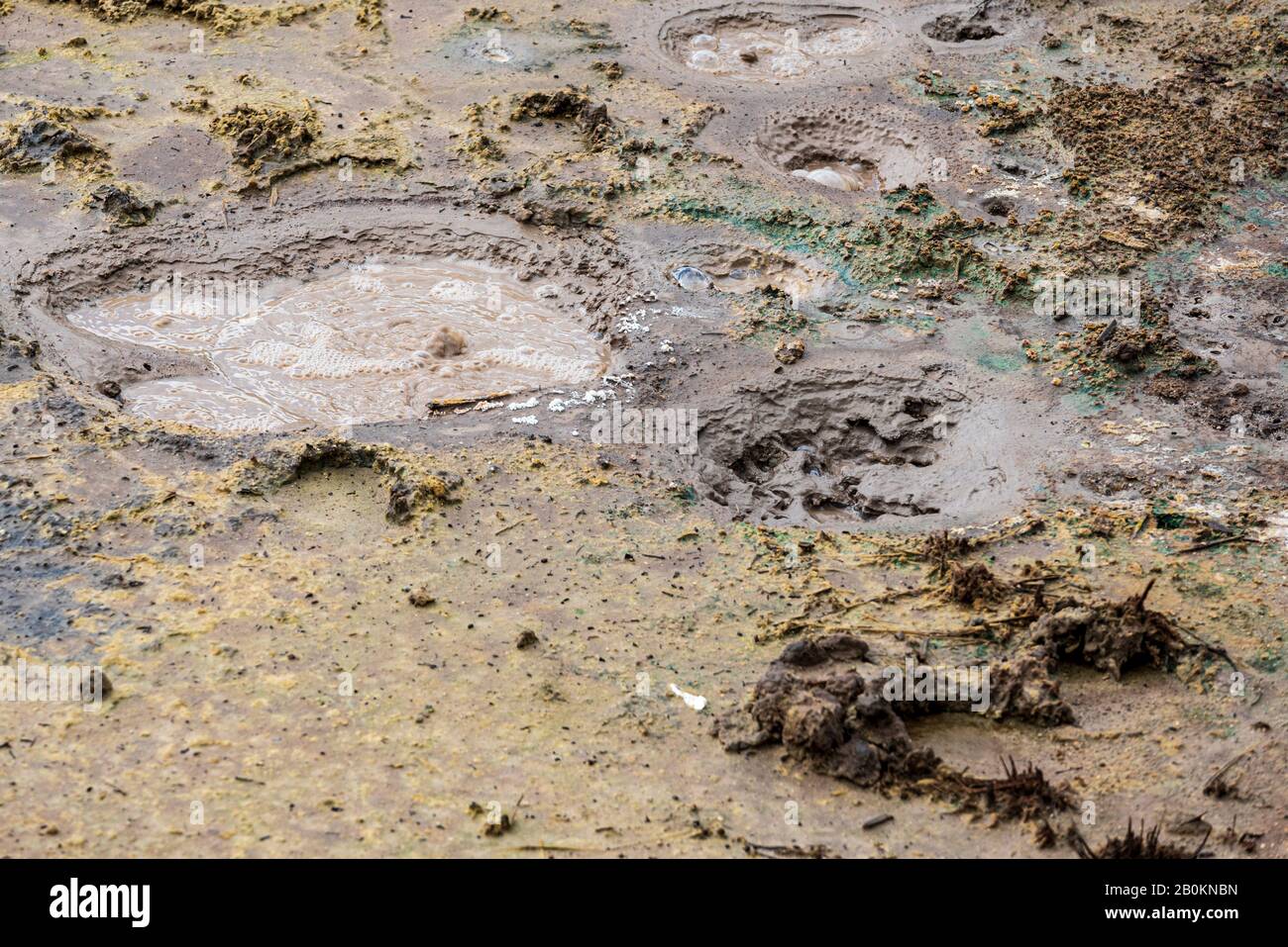 Closeup of bubbles rising up through muddy pool of water Stock Photo ...