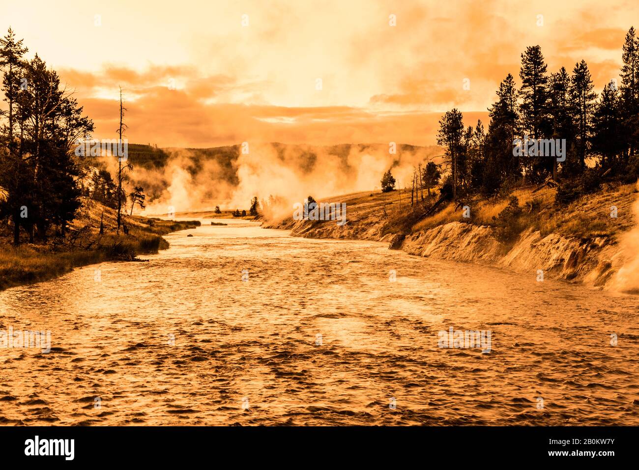 Morning skies, flowing river and forest in amber light Stock Photo - Alamy
