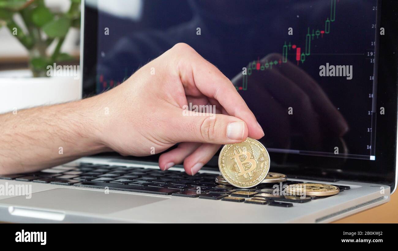 man checking cryptocurrency chart and bitcoin coins on a laptop Stock ...