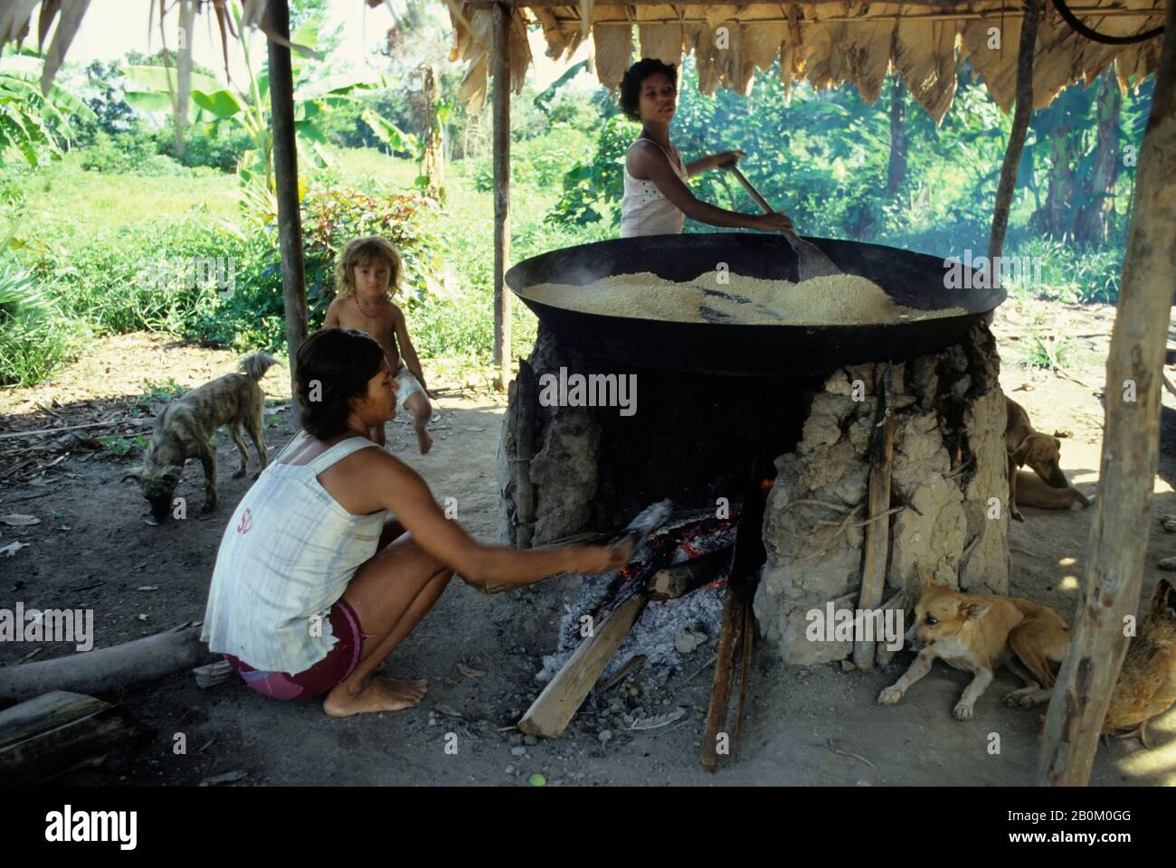 BRAZIL, AMAZON RIVER, LOCAL PEOPLE ROASTING TAPIOCA Stock Photo - Alamy