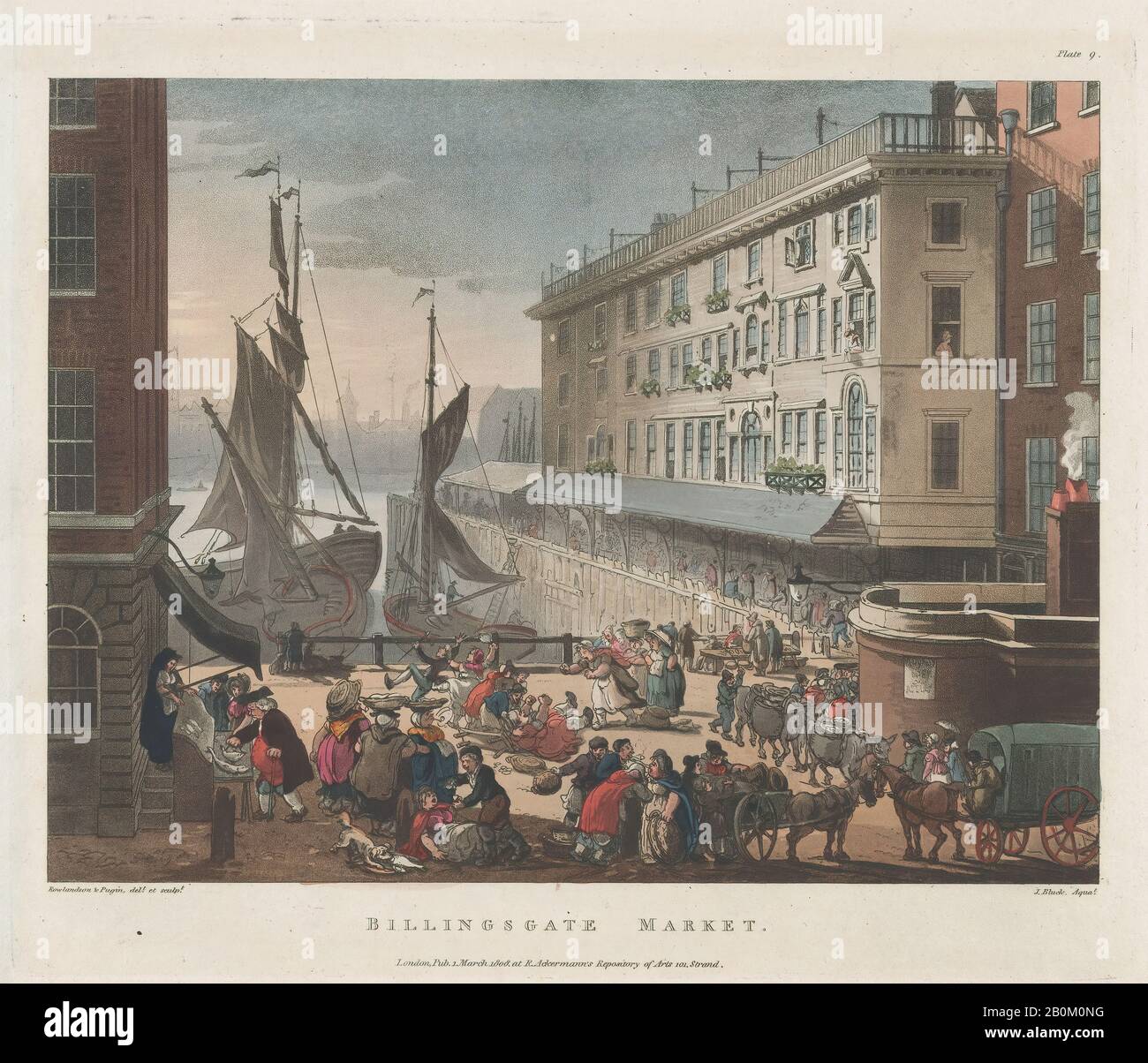 Pl 29 prints hi-res stock photography and images - Alamy