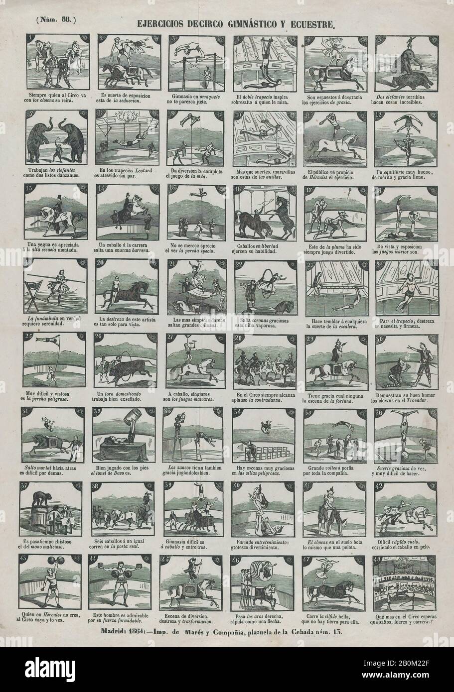 Circus gymnastic and equestrian exercises hi-res stock photography and ...