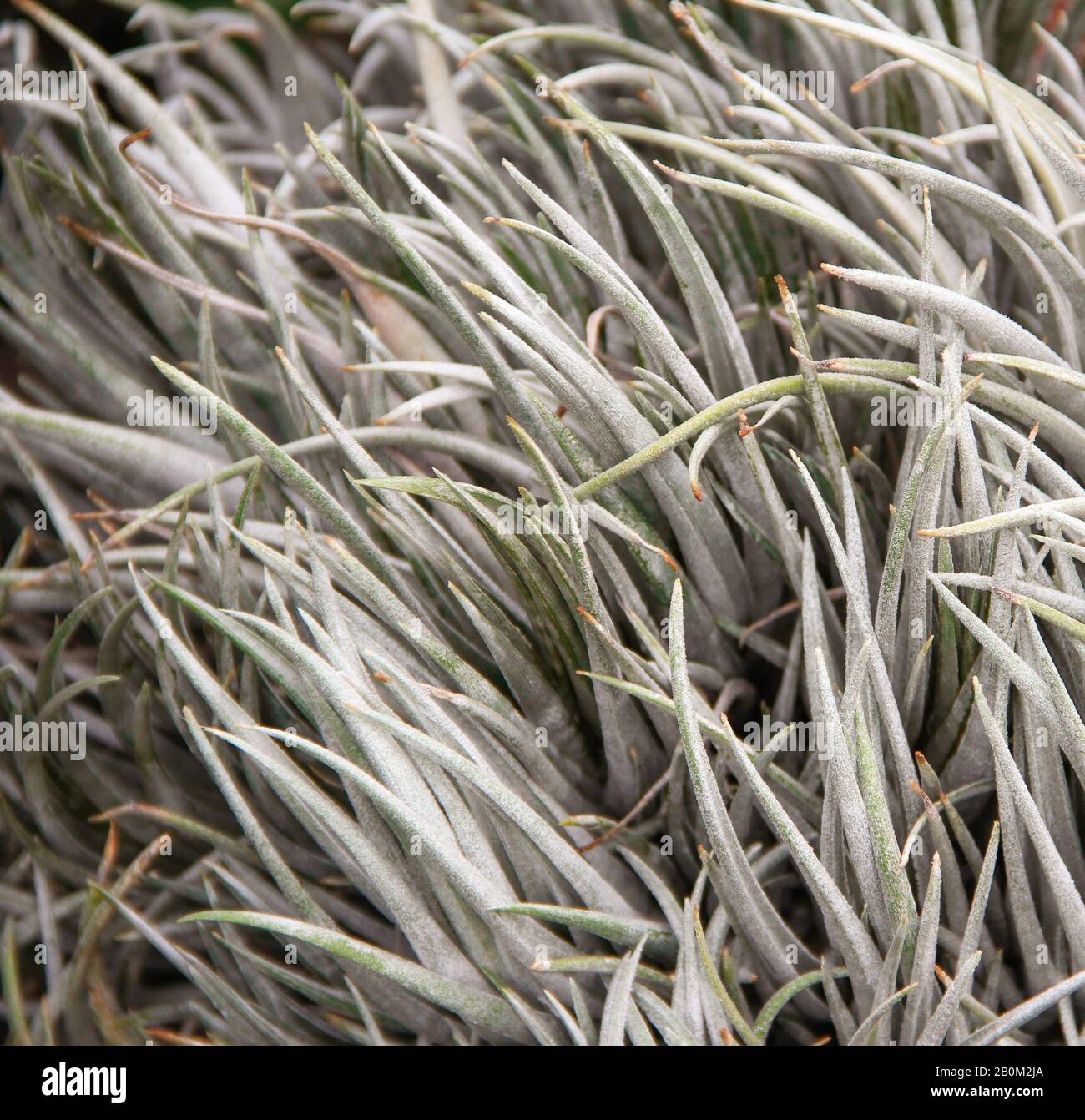 Diversity of textures and colours hi-res stock photography and images ...