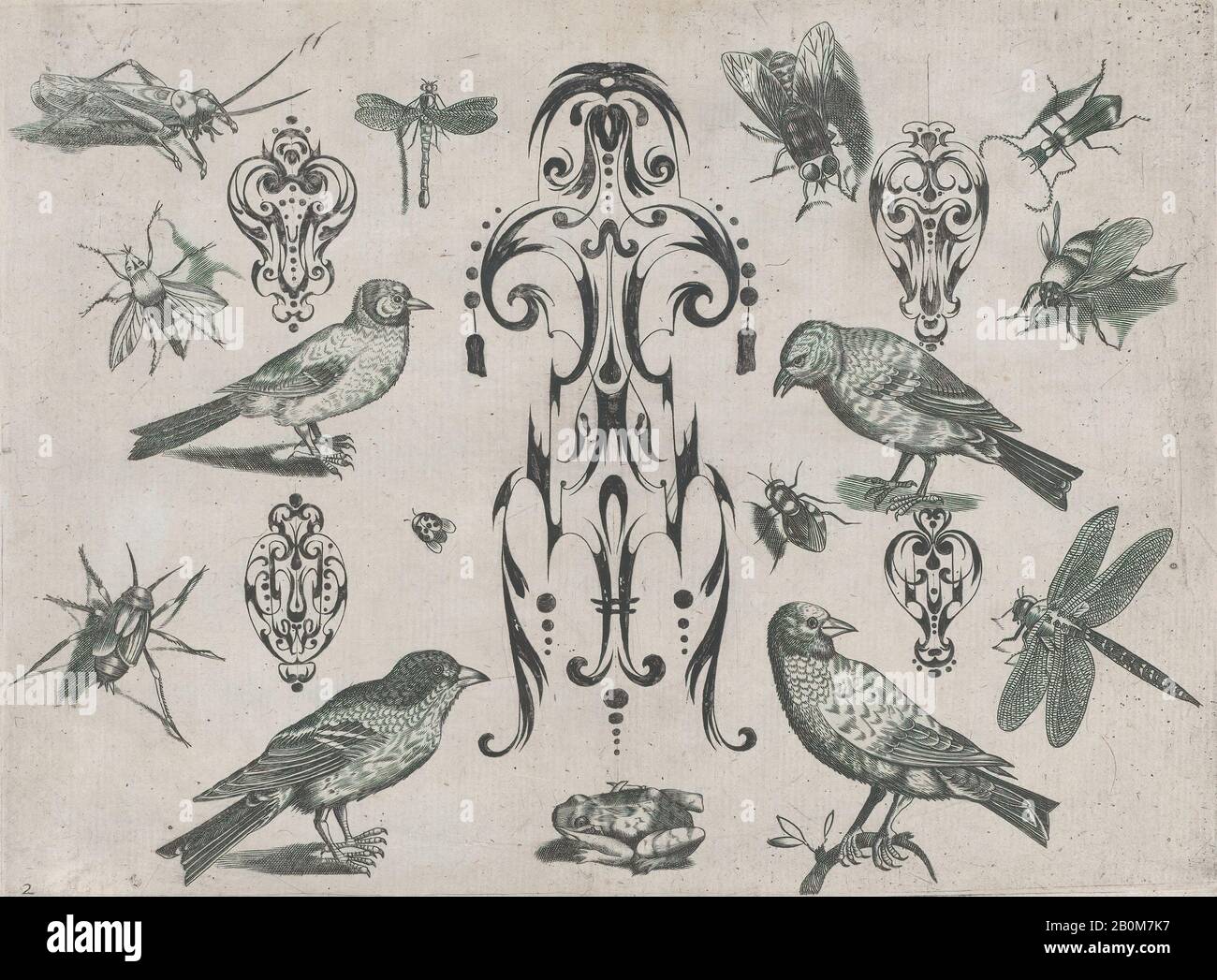 Meinert Gelijs, Blackwork Designs with Birds and Insects, Plate 2 from ...