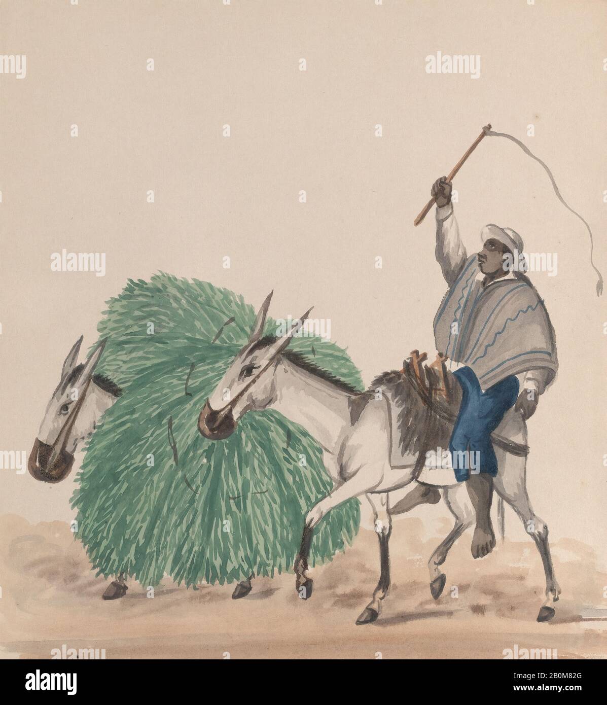 Stubborn Mule Family Guy