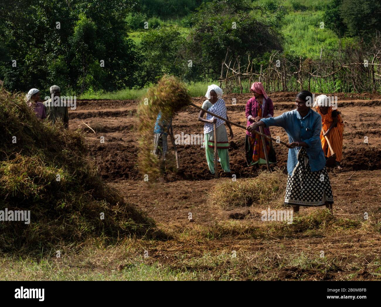 Tribal in Kerala, their qualities of worship to the Mother Nature ...