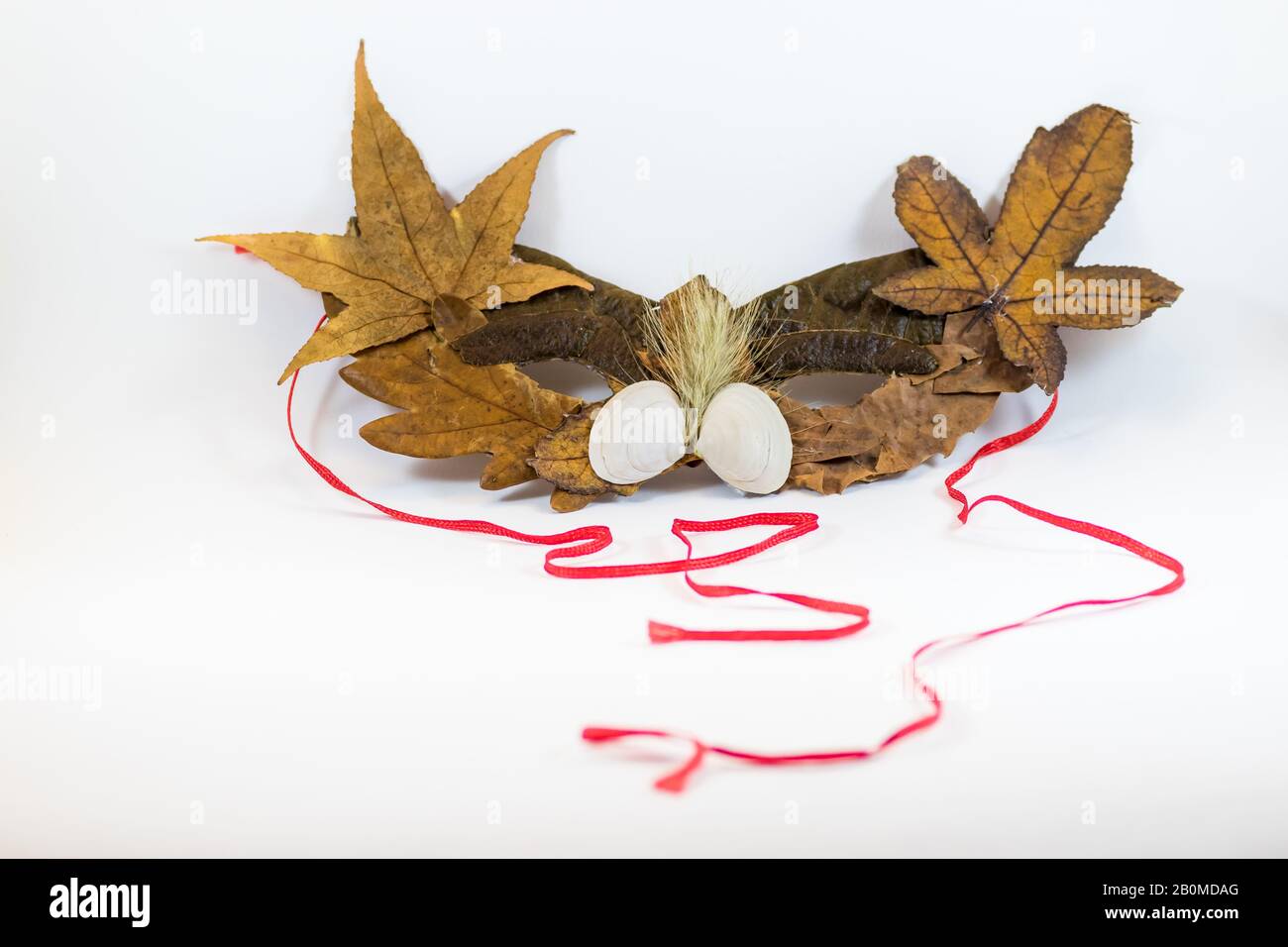 Carnival mask made with natural materials (seashells, leaves, ...) for ...