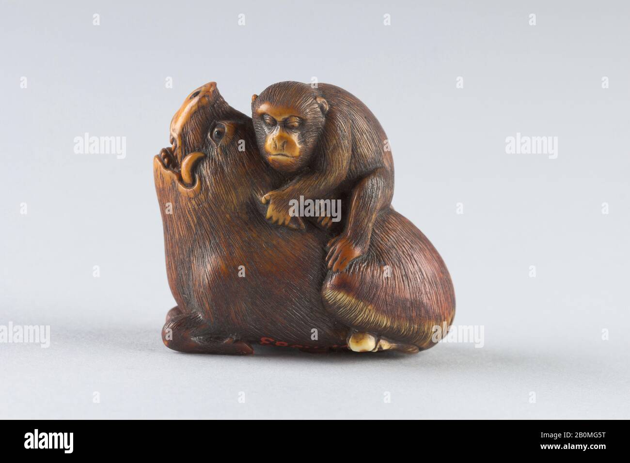Monkey attacking a boar hi-res stock photography and images - Alamy