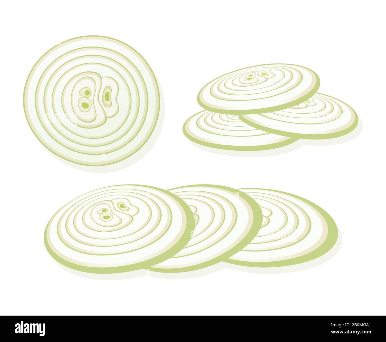 Sliced onion isolated on white background. Rings of onion. Vector ...