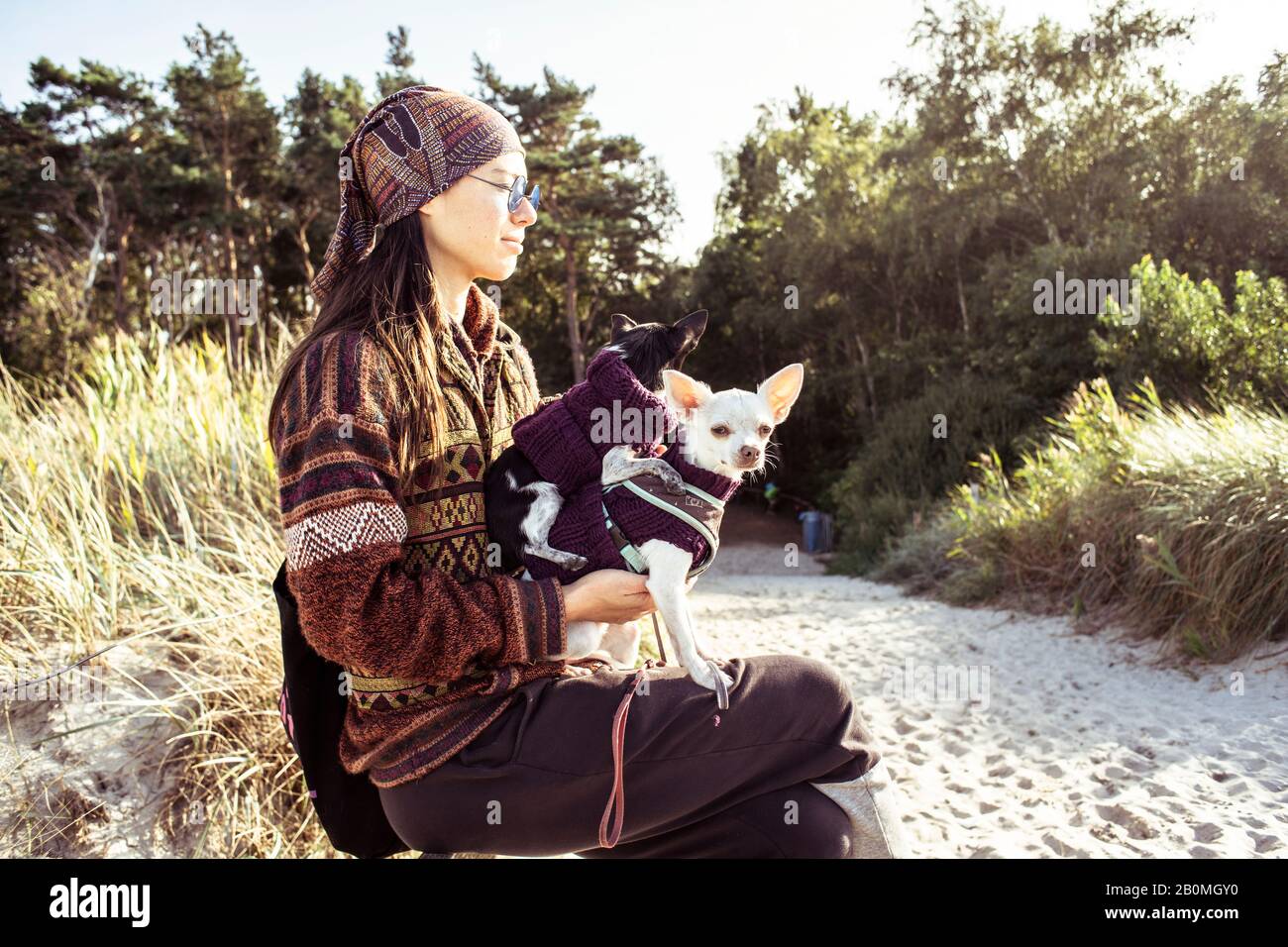 two dogs sit on womans lap in pretty sunlight on natural beach Stock ...