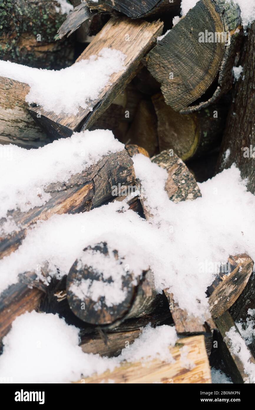 Tree logs covered in snow hi-res stock photography and images - Alamy