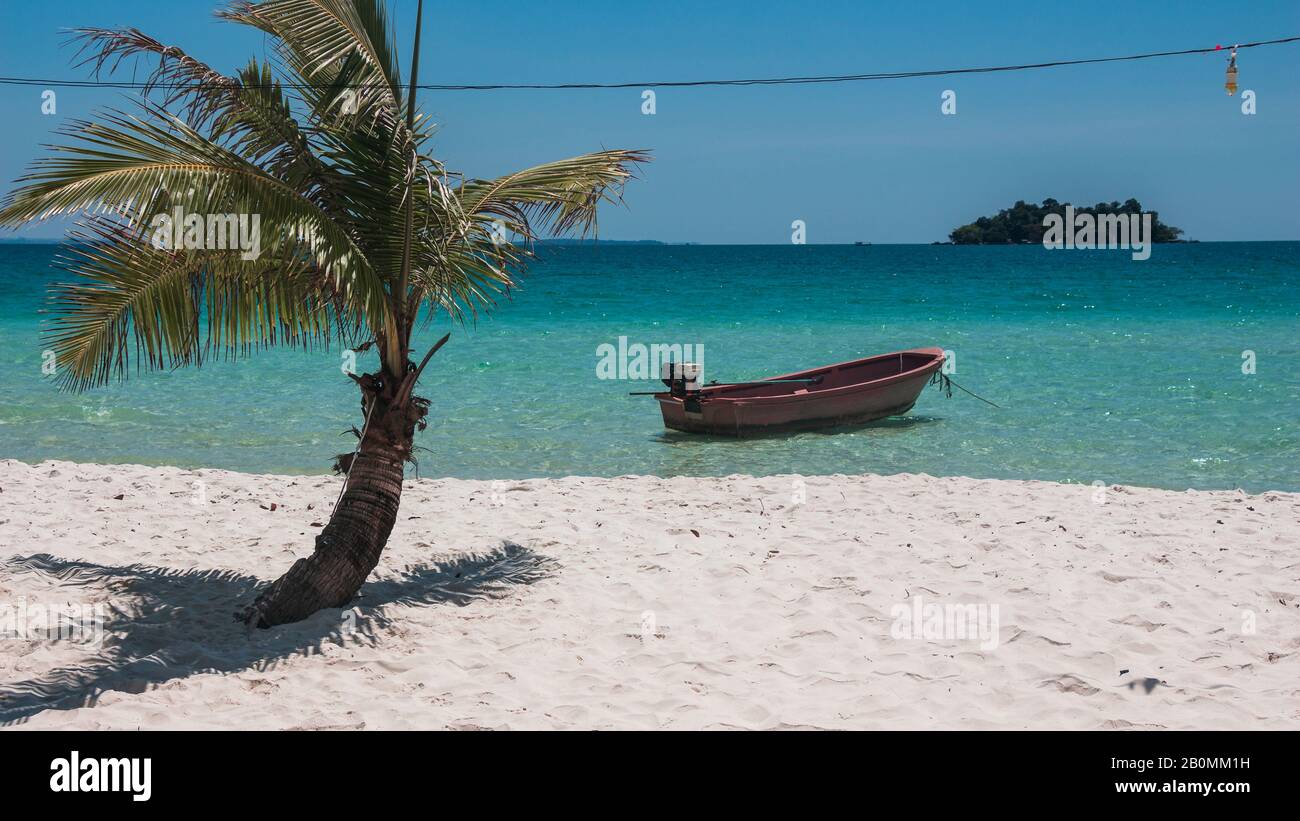Boat and Palm Tree at the beach Stock Photo - Alamy