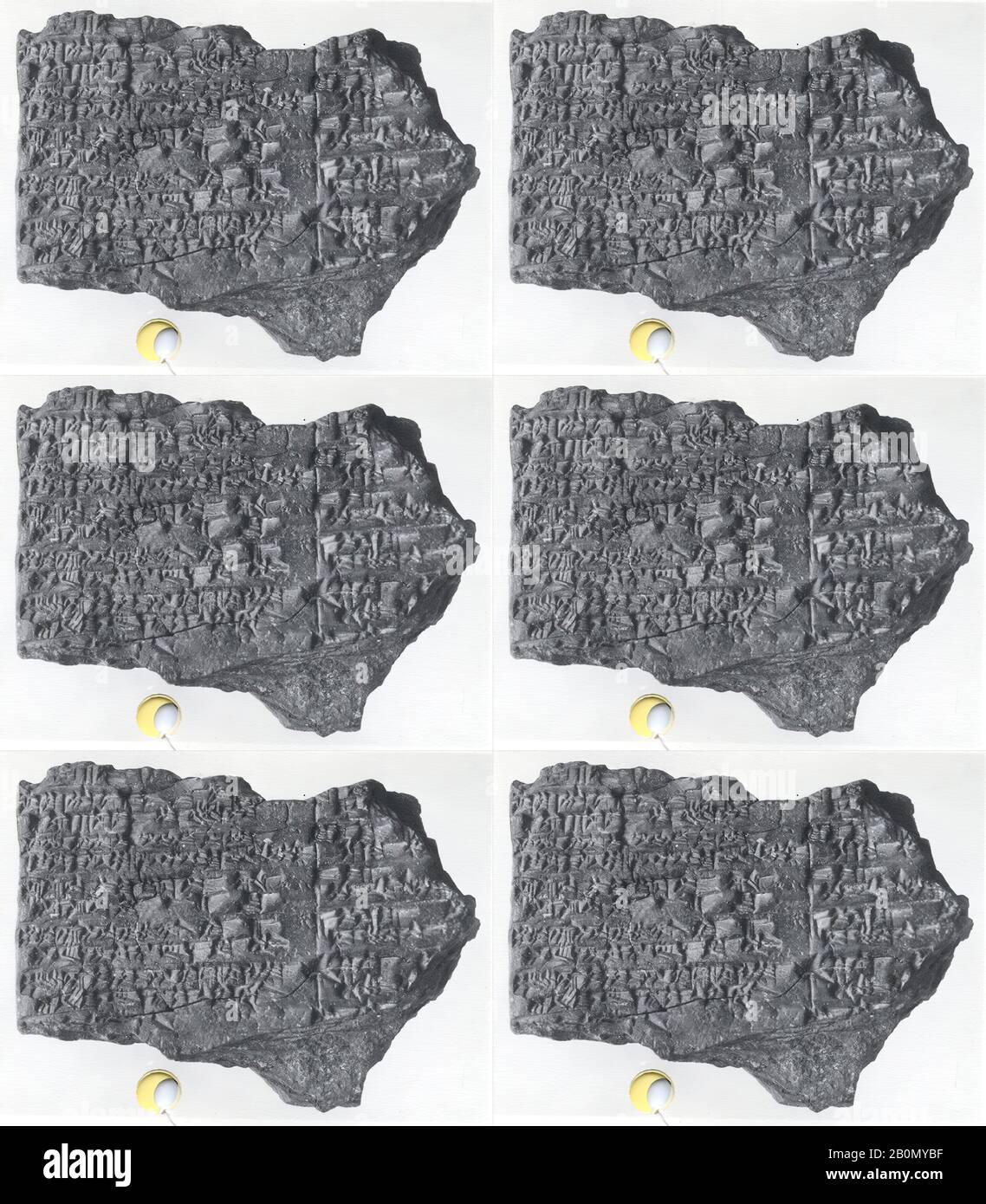 B nir hi-res stock photography and images - Alamy