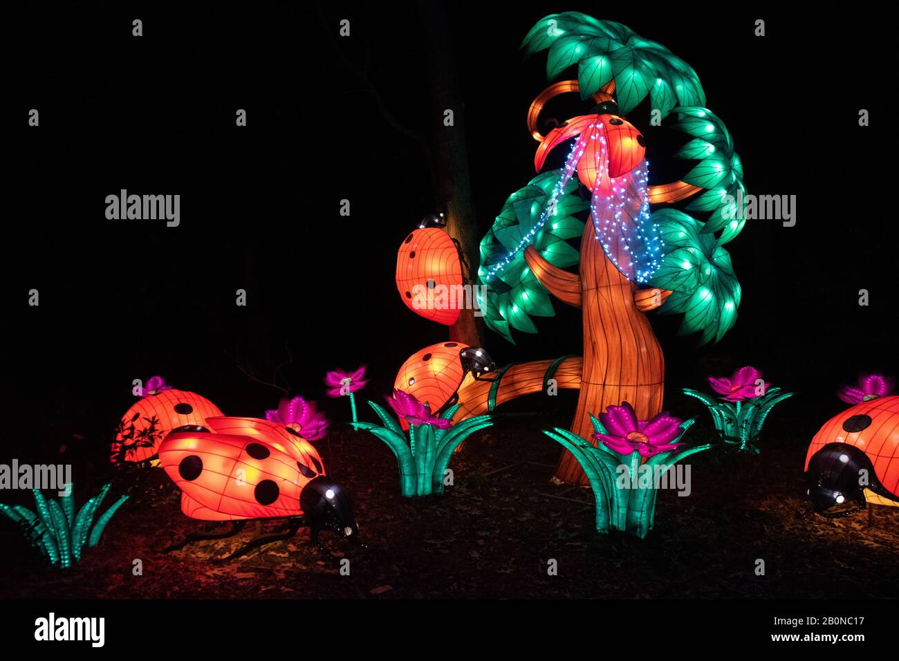 Ladybug lights hi-res stock photography and images - Alamy