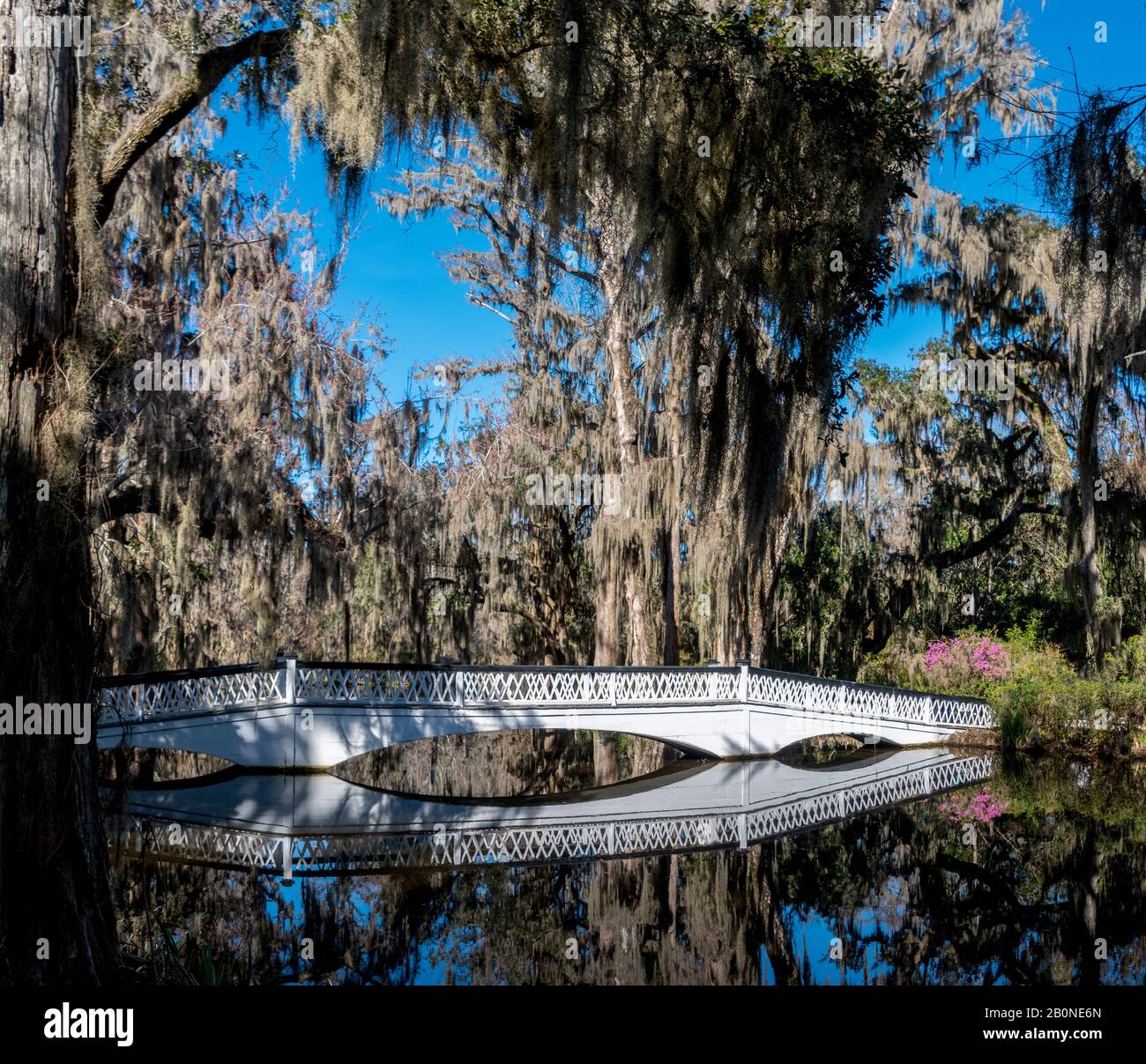 Old swamp bridge hi-res stock photography and images - Alamy