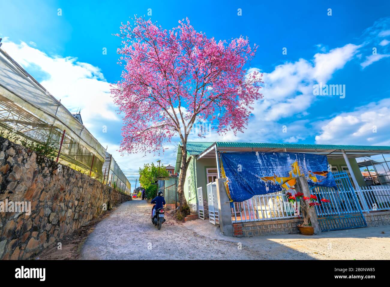 Bustling pathway hi-res stock photography and images - Alamy
